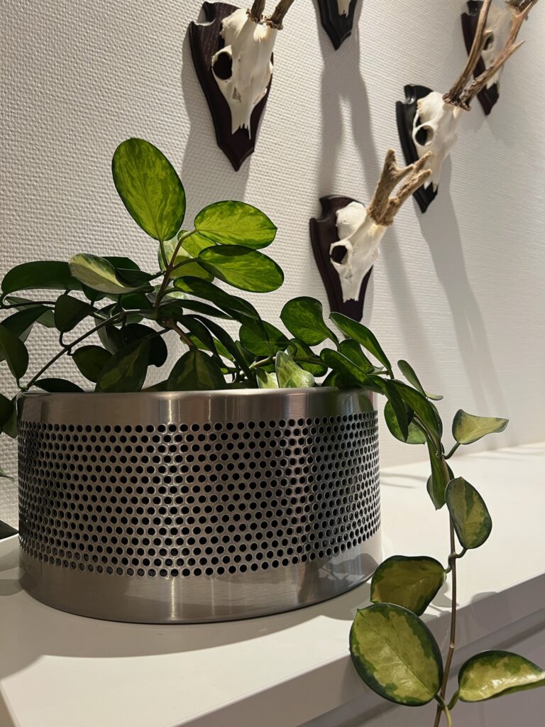 Silver Perforeret rustfri kumme - Hø Stål